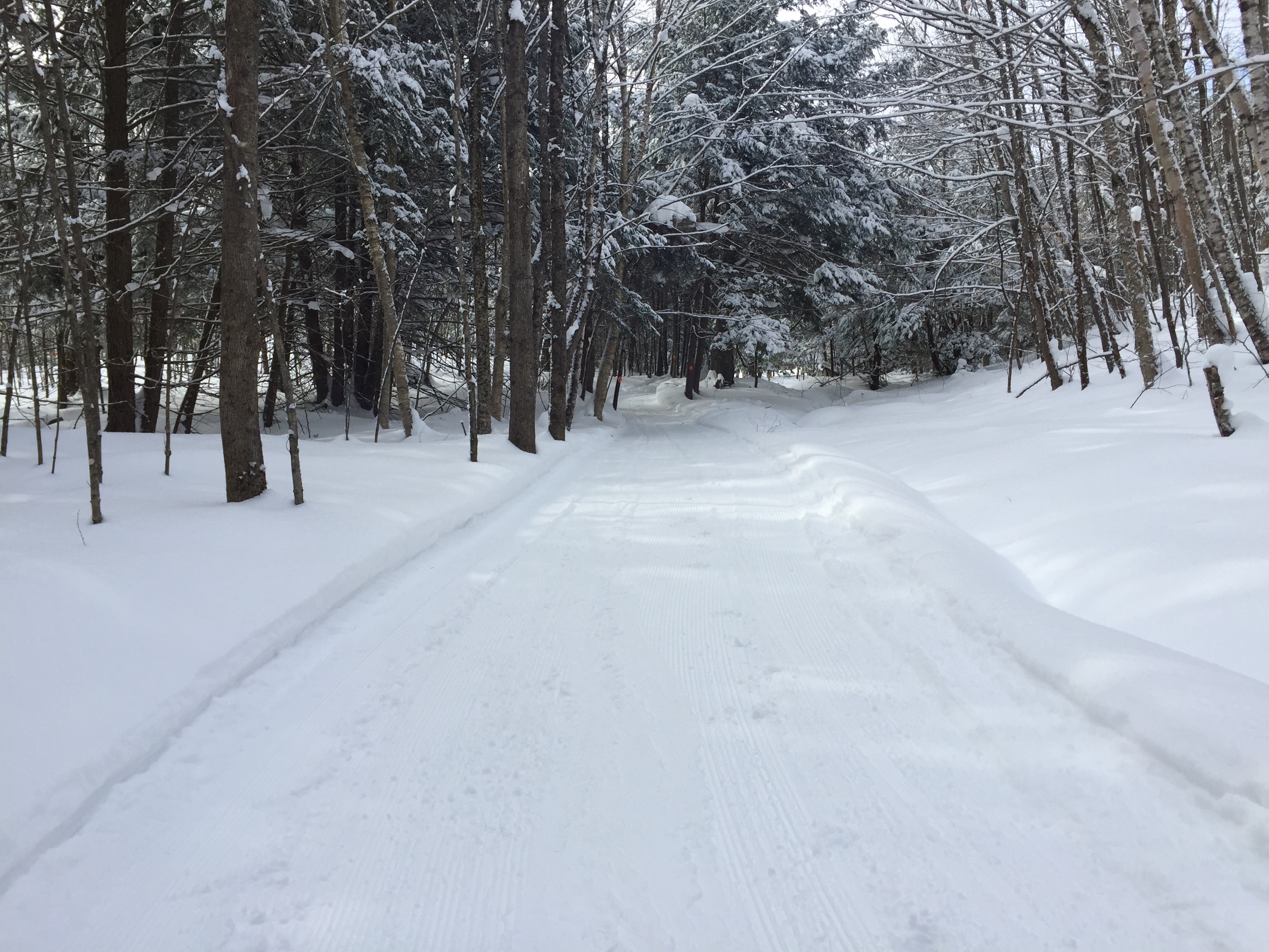 Fat Biking Conditions – Millstone Trails Association