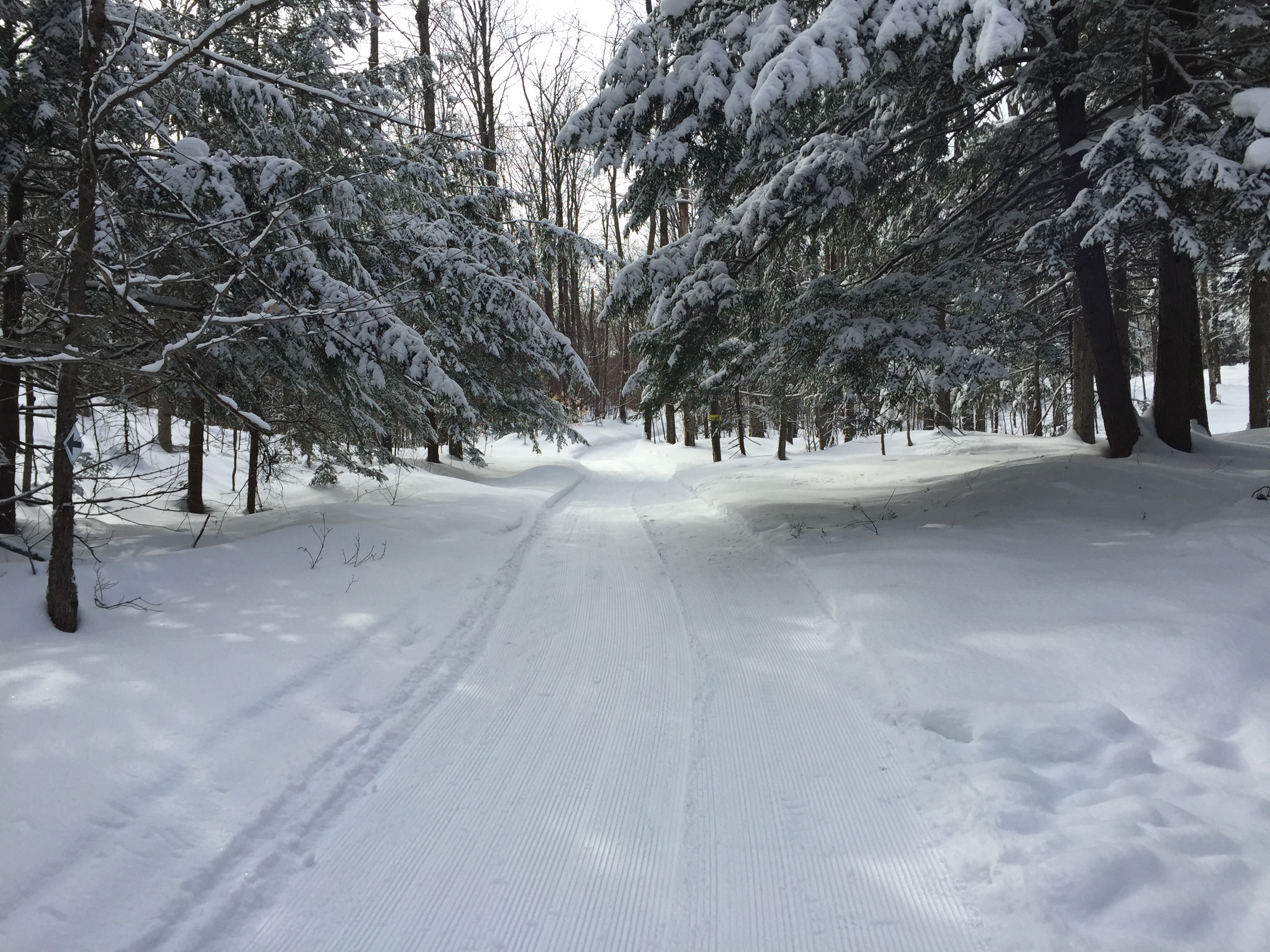Skiing Conditions – Millstone Trails Association